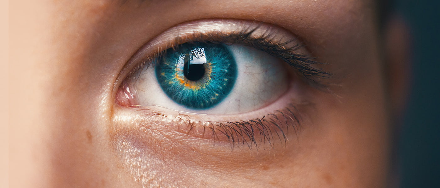 Budowa i funkcje ludzkiego oka. Jak to się dzieje, że widzimy? - Twoje ...